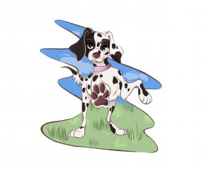 Dog Paw Anatomy, Bones & Evolution - Happiest Dog